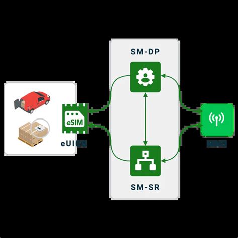 1global Iot Sims And Esim