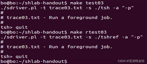 csapp shell lab 实验报告 shelllab csdn博客