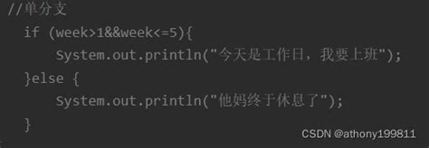 if之单分支与多分枝 if单分支 csdn博客