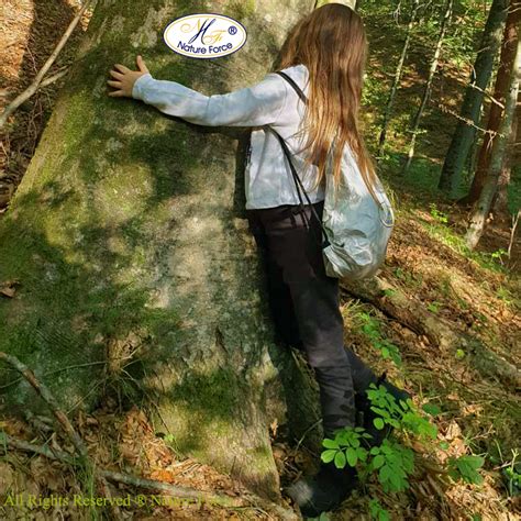 Personalized Analysis Nature Force® Tree Spirit ~ Find Your Own Helping