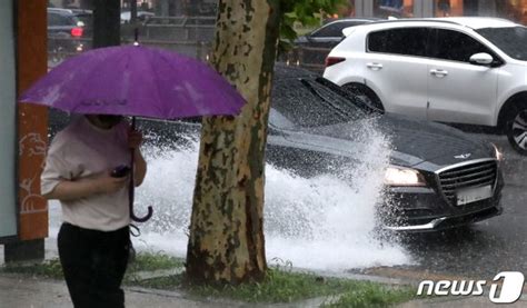 폭우 내리는 서울 네이트 뉴스