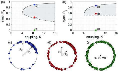 Kuramoto Oscillator Model At Lucy Dean Blog