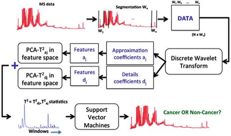 2 The Proposed Method For Ms Classification Download Scientific Diagram