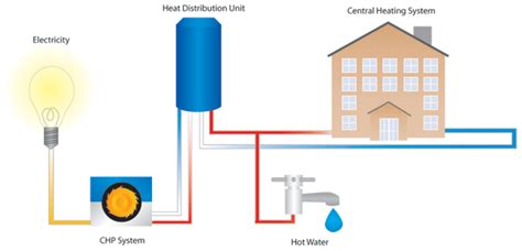 Biomass Cogeneration Systems Bioenergy Consult