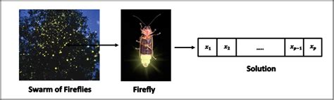 A Representation Of A Solution In The Firefly Algorithm Download