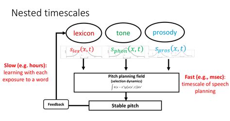 A Dynamic Neural Field Model Of Leaky Prosody Proof Of Concept Hhu Slam Lab