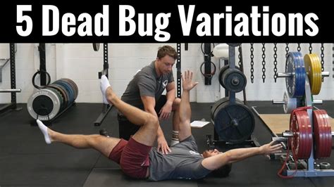 Modified Dead Bug Exercise