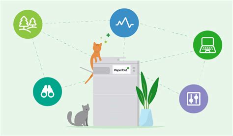 Why We Think Papercut Is The Best Print Management Software Papercut