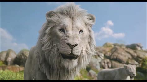 მუფასა მეფე ლომი ოფიციალური ტრეილერი Youtube