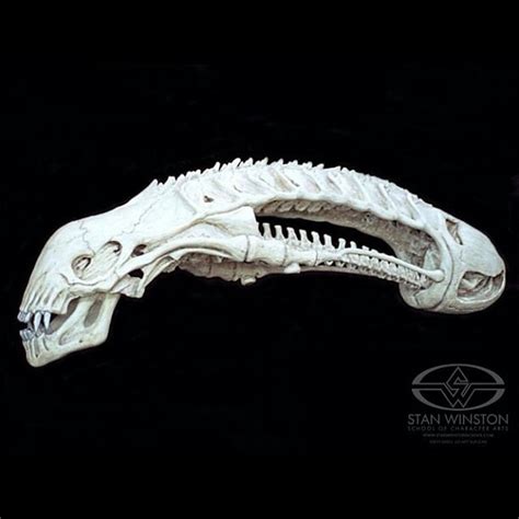 Alien Skull Sculpture