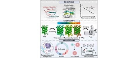 谁懂啊，一键写综述的快乐！全部真实参考文献，全自动插入！ Book学术