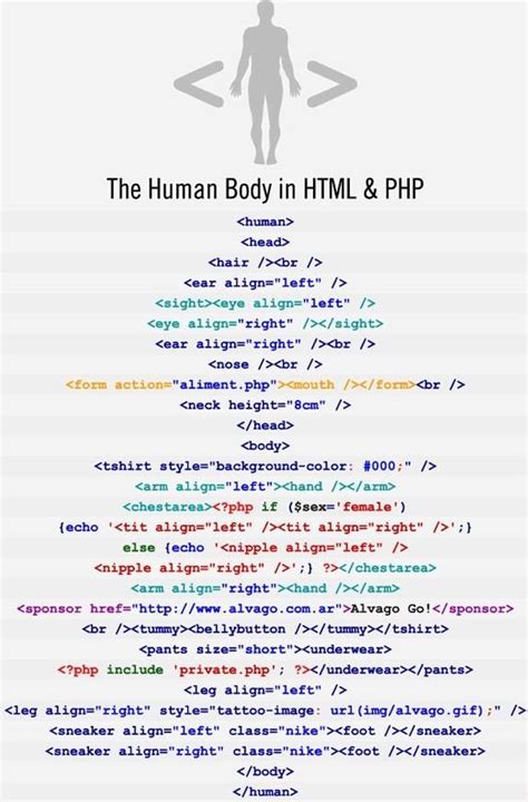 Html And Php Learn Computer Coding Basic Computer Programming Coding