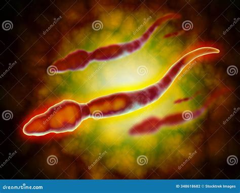 Microscopic View Of Male Sperm Cells Stock Illustration Illustration