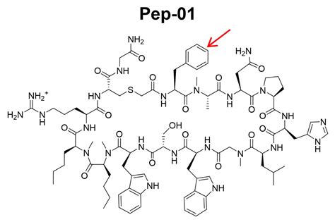 Obstacles And Innovations Of Macrocyclic Drug Development Drug Target Review