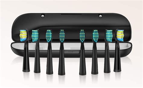 How To Replace An Electric Toothbrush Head At Theodore Talbert Blog