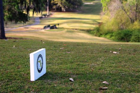 The Teeing Area Fsga