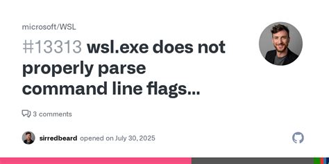 Wslexe Does Not Properly Parse Command Line Flags After Install · Issue 13313 · Microsoft