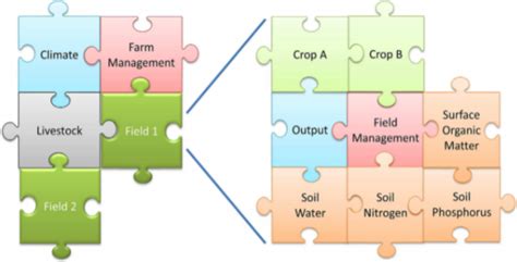 Apsim作物生长模型全流程教学、自动化调参、多进程批处理、参数敏感性分析—— 顶刊文章复现与论文写作指导 知乎