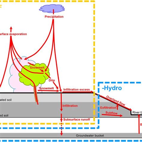 Conceptual View Of The Terrestrial Compartments In The Wrf And Download Scientific Diagram