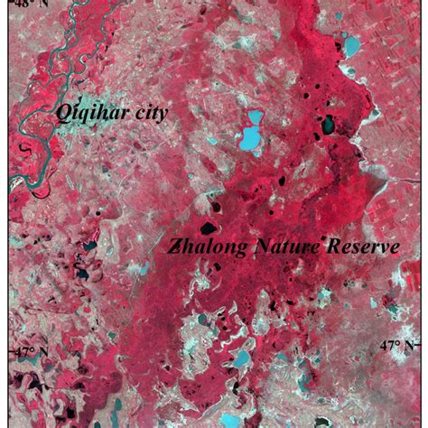 Pdf A Review Of Wetland Remote Sensing