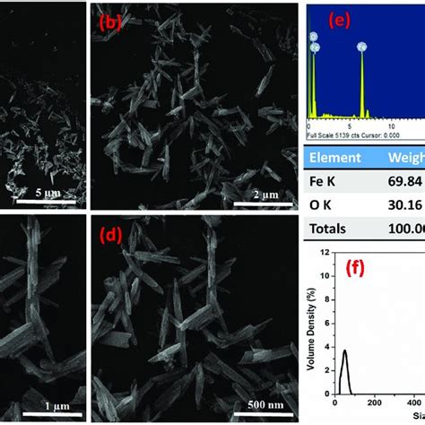 Field Emission Scanning Electron Microscope Fe Sem Micrographs Of
