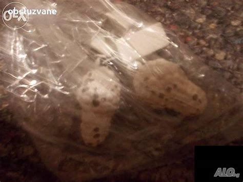 Тежести за покривка Аксесоари Берковица Пакет от два броя нови Произход Закупени