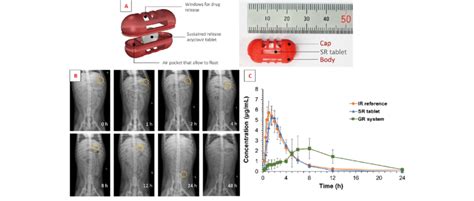 A Photograph Of A Gastroretentive System Composed Of A 3d Printed Download Scientific Diagram