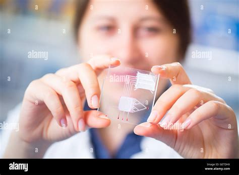 A Lab On Chip Is Device Integrates Several Laboratory Processes In One Device In Woman Hand