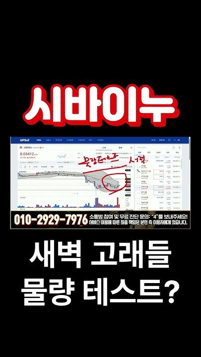 새벽 고래들 물량 테스트 진행 리플코인 리플 리플코인시세 비트코인호재 비트코인급등 비트코인시세 웰시투자그룹 Youtube