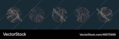 Different Contour Topography Map In Circles Vector Image