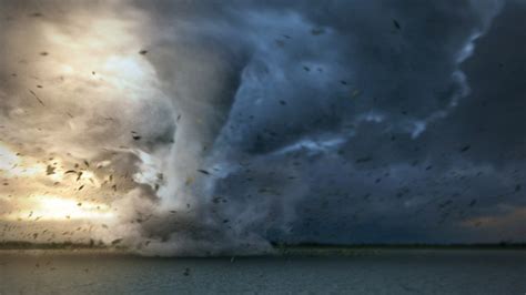 Maya Dynamics Creating Effects With Multiple Solvers