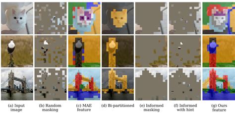 Self Guided Masked Autoencoder · Neurips 2024