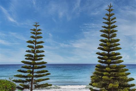 Switch 块Switch 表达式Switch 模式匹配越来越好用的 Switch 沉潜飞动 君子藏器于身待时而动