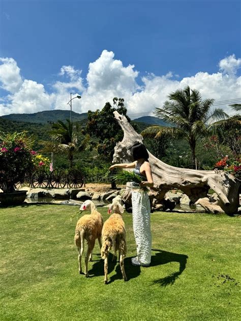 나트랑 3박5일 자유 여행 코스 및 일정 경비 모두 총정리 네이버 블로그