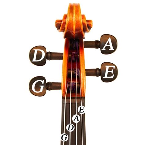 Violin Tuning Guide Appmuse