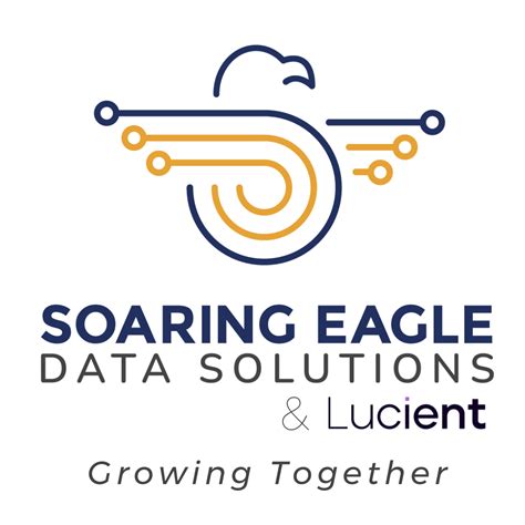Soaring Eagle Data Solutions Acquires Lucient USA Expanding Their Business Intelligence