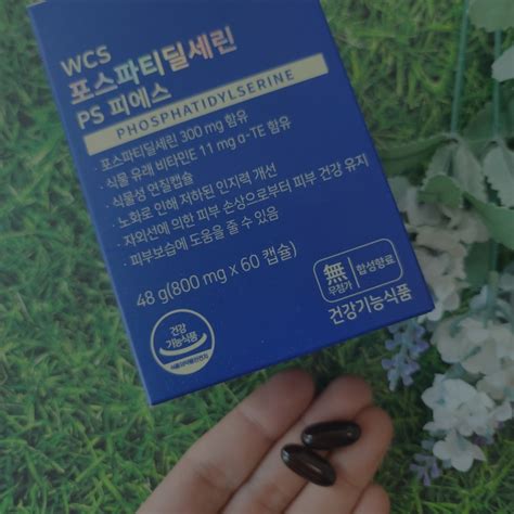 기억력 두뇌영양제 포스파티딜세린 효능 두뇌케어 네이버 블로그