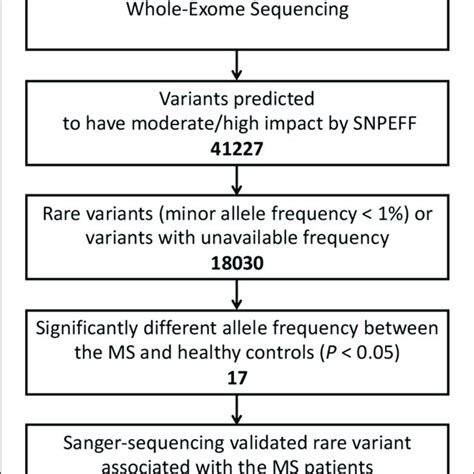 workflow for data processing and variant calling and filtering download scientific diagram