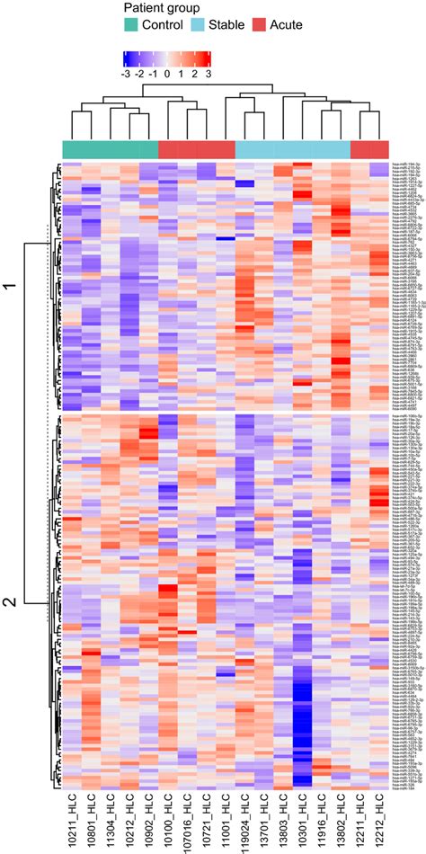 heatmap of differentially expressed mirnas p download scientific diagram