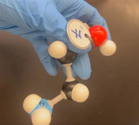 Name These Structures