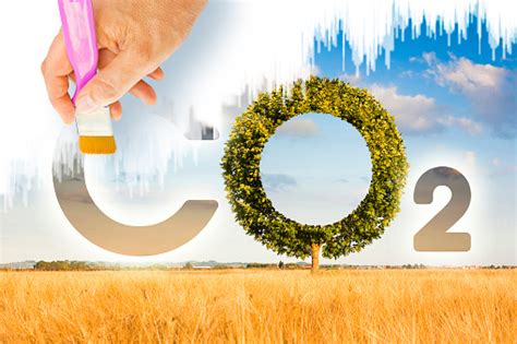 이산화탄소에서 산소까지 Co2 Netzero 방출 산소를 얻기 위해 Co2에서 문자 C를 제거하는 시골 장면에 대한 탄소 중립성 개념 온실 가스에 대한 스톡 사진 및 기타