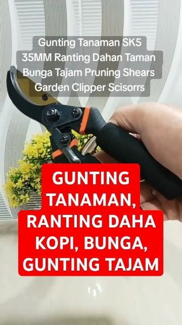 Cod Gunting Tanaman Sk5 35mm Guting Ranting Dahan Taman Bunga Gunting Ranting Kopi Gunting