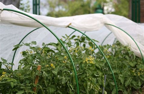 Дуги для парника своими руками: как сделать, материалы, из чего