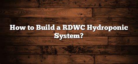 How To Build A Rdwc Hydroponic System Inter Culturalu