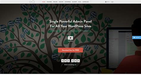 Managing Multiple Wordpress Websites From A Central Location Web