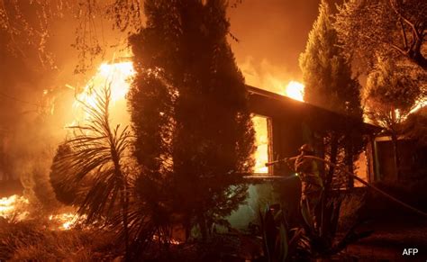 No One Knew What To Do Los Angeles Wildfire Sparks Evacuation