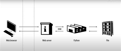 Website와 Python이 만났을 때