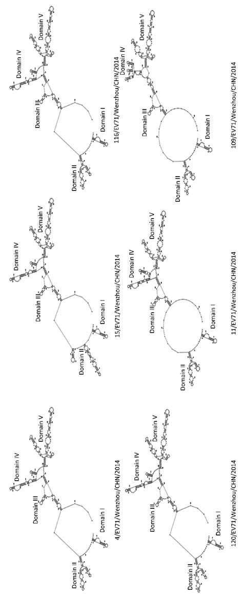 The Rna Secondary Structure Predictions Of Ires For More Details Download Scientific Diagram