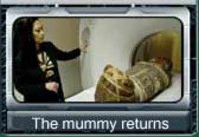 Scientists Unveil Rare Mummy Times Of India