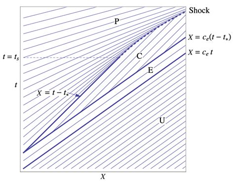 Schematic Of The Positive Characteristics For The Download Scientific Diagram